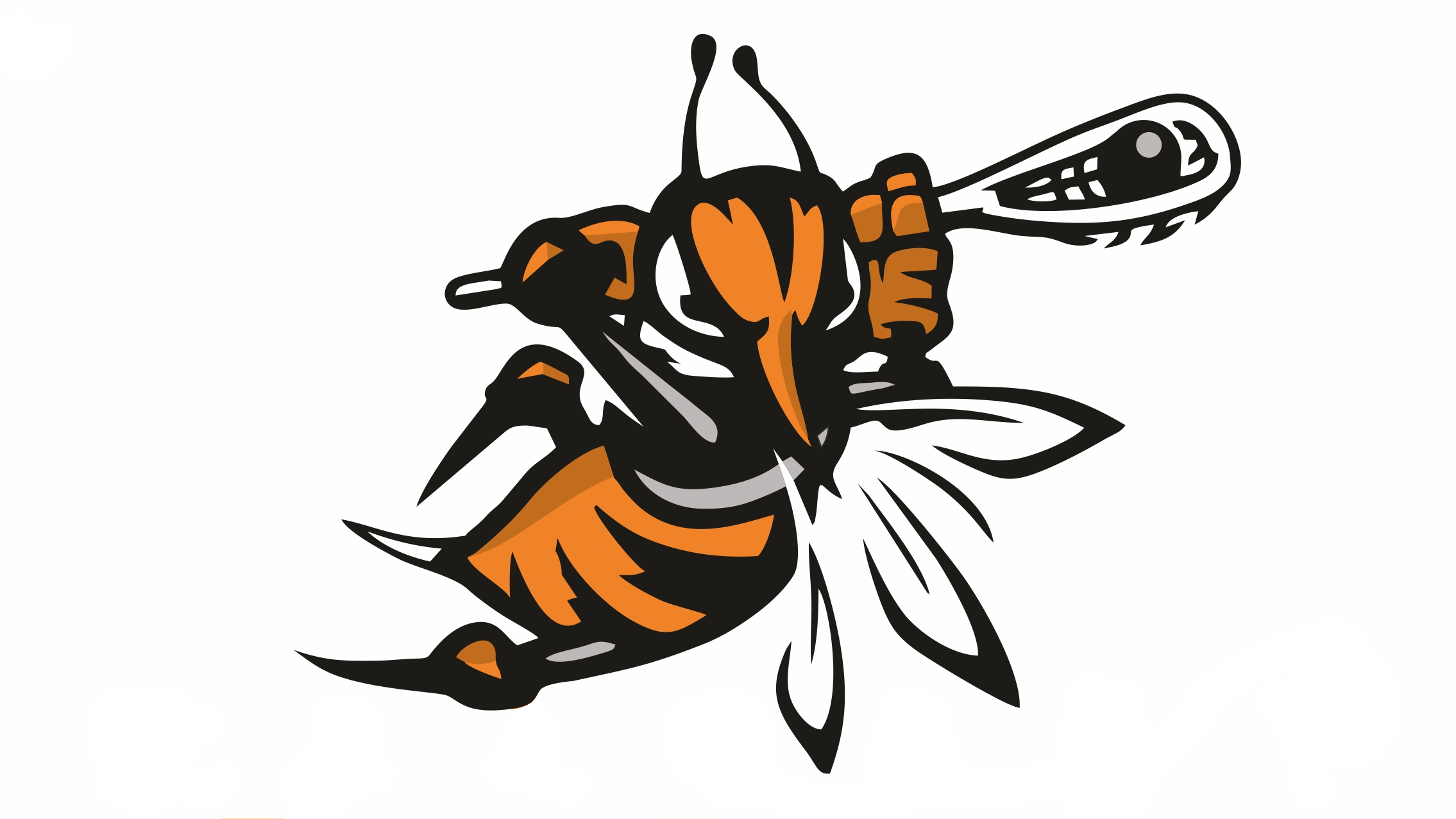 Calgary Hornets Lacrosse : Website by RAMP InterActive